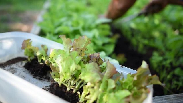 Repiquage Images – Parcourir 267 le catalogue de photos, vecteurs et ...