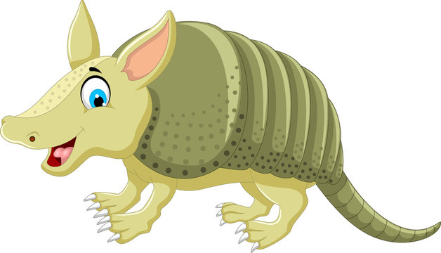 Armadillo Cartoon Images – Browse 3,005 Stock Photos, Vectors, and Video | Adobe Stock