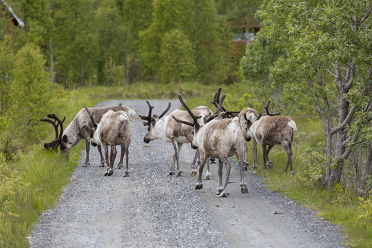 รูปภาพRentier – เลือกดูภาพถ่ายสต็อก เวกเตอร์ และวิดีโอ28,739 | Adobe Stock