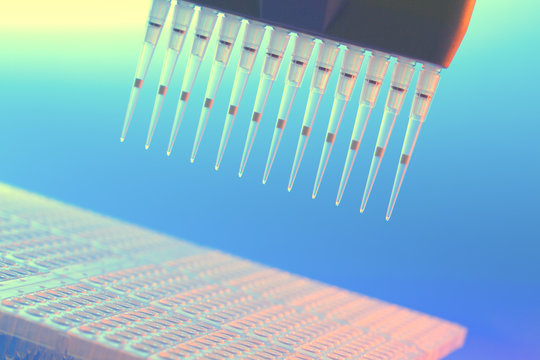 Multipipette - Images et vidéos libres de droits | Adobe Stock