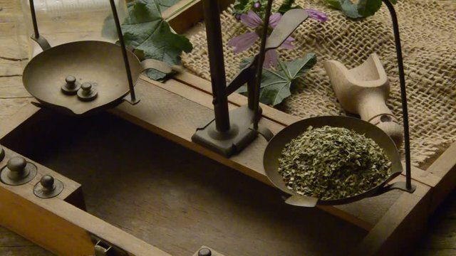 Herbalismo Images – Browse 166 Stock Photos, Vectors, and Video | Adobe ...