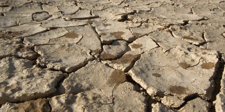 Imagens de Parched – Explore Fotografias do Stock, Vetores e Vídeos de ...