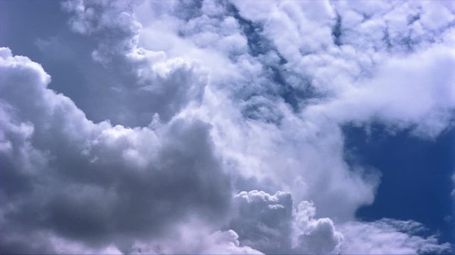 Obrázky Billowing – procházejte fotografie, vektory a videa 183,918 ...