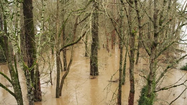 Stream-Side Images – Browse 15 Stock Photos, Vectors, and Video | Adobe ...