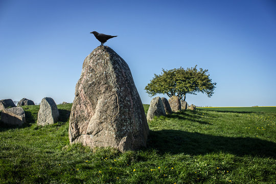 รูปภาพNobbin – เลือกดูภาพถ่ายสต็อก เวกเตอร์ และวิดีโอ73 | Adobe Stock