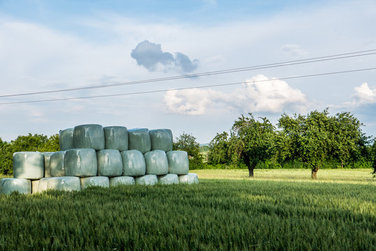 Heu bilder – Bläddra bland 26,246 stockfoton, vektorer och videor ...