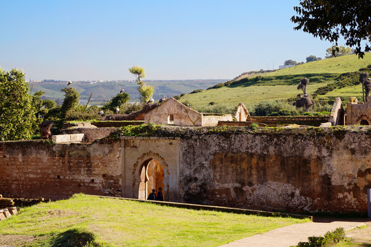 Lyddite Bilder – Durchsuchen 94 Archivfotos, Vektorgrafiken und Videos ...