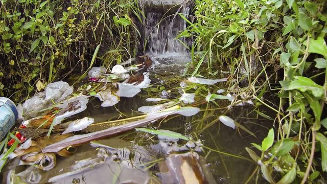 รูปภาพGarbish – เลือกดูภาพถ่ายสต็อก เวกเตอร์ และวิดีโอ33 | Adobe Stock