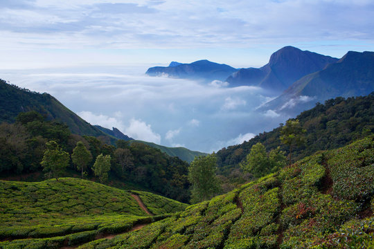 รูปภาพMunnar – เลือกดูภาพถ่ายสต็อก เวกเตอร์ และวิดีโอ10,428 | Adobe Stock