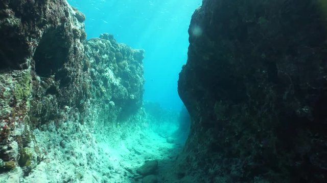 Reef Trench"」の写真素材 | 9件の無料イラスト画像 | Adobe Stock