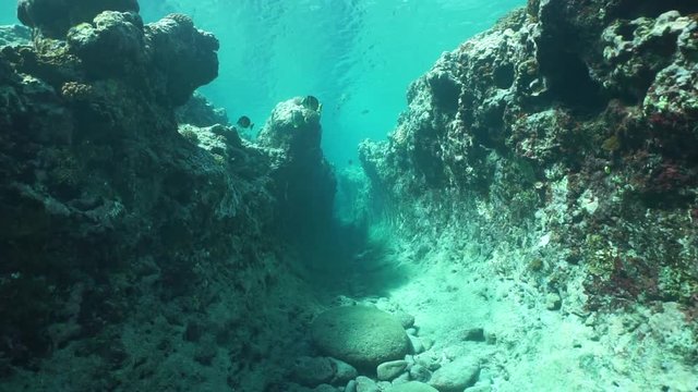 Reef Trench"」の写真素材 | 9件の無料イラスト画像 | Adobe Stock