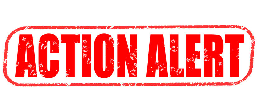 "Action Alert" photos, royalty-free images, graphics, vectors & videos ...
