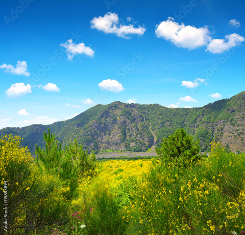 "Mount Somma is the remnant of a large volcano, out of which the peak ...