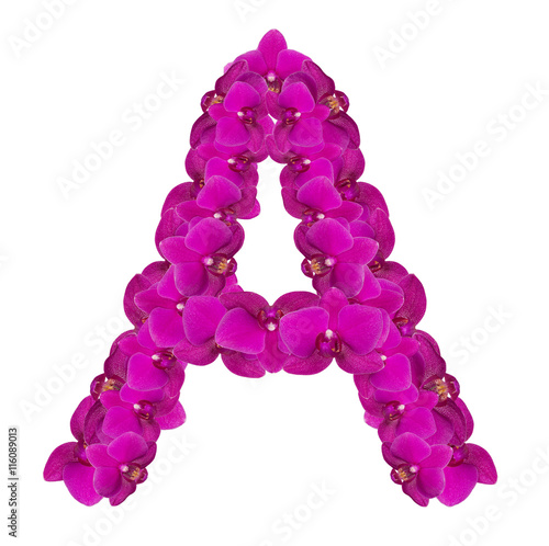 "Letters made of pink flowers. A letter - flower alphabet" Stock photo ...