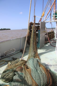 「Crevettier」の画像 - 83 件の Stock 写真、ベクターおよびビデオ | Adobe Stock