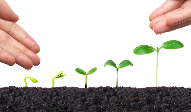 Nurturing Images – Browse 570,054 Stock Photos, Vectors, and Video ...