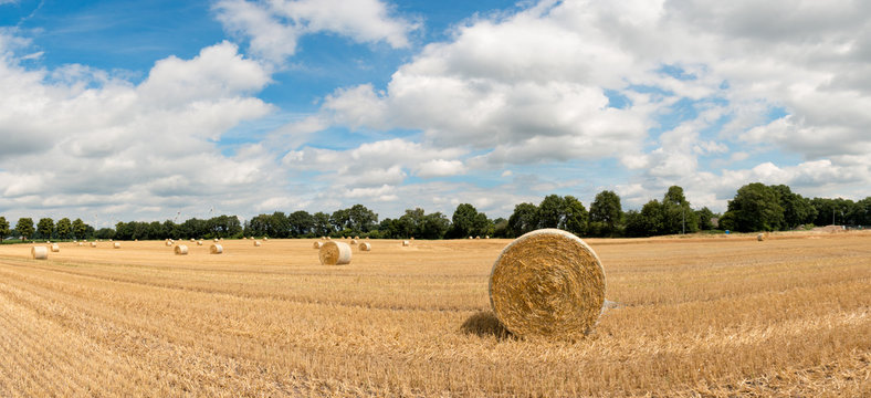 Ernte bilder – Bläddra bland 184,458 stockfoton, vektorer och videor ...