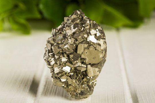 Pirit Images – Browse 148 Stock Photos, Vectors, and Video | Adobe Stock