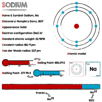 Sodium Element Model Project