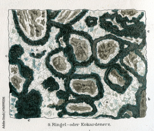 "Cockade ore - galena (c), greywacke (b), quartz (a) (from Meyers ...