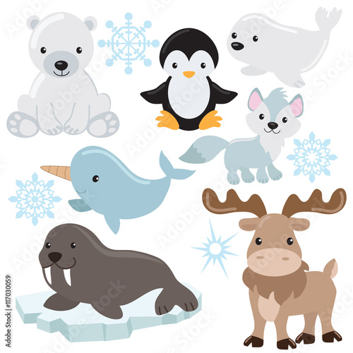 Polar animals clipart