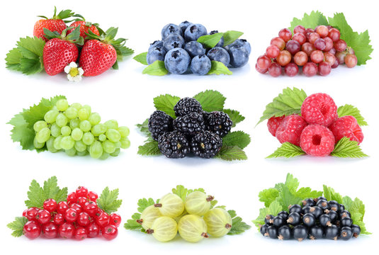 Beeren bilder – Bläddra bland 52,453 stockfoton, vektorer och videor ...