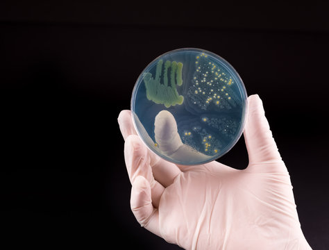 Cled Images – Browse 33 Stock Photos, Vectors, and Video | Adobe Stock