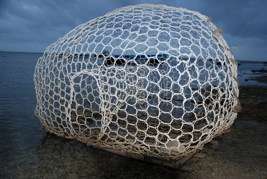 รูปภาพPiege – เลือกดูภาพถ่ายสต็อก เวกเตอร์ และวิดีโอ120 | Adobe Stock