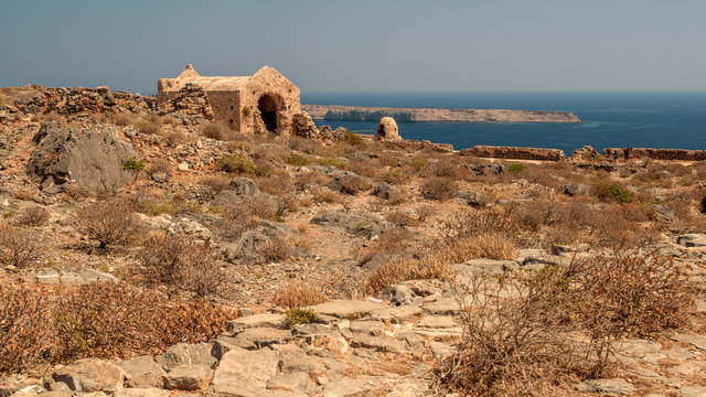 Agria Bilder – Durchsuchen 231 Archivfotos, Vektorgrafiken und Videos ...