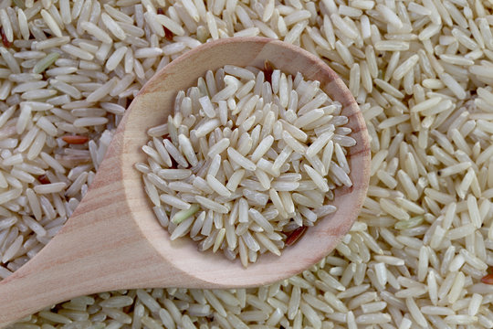 Imágenes de "Coarse Rice": descubre bancos de fotos, ilustraciones ...