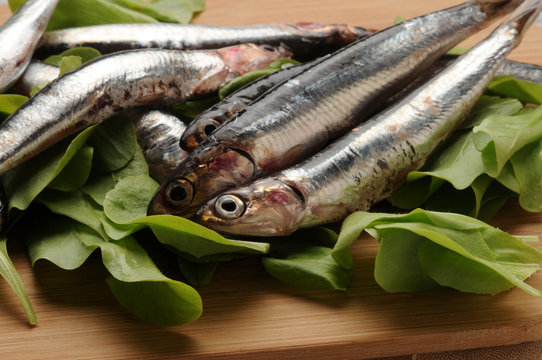 Sardela Bilder – Durchsuchen 61 Archivfotos, Vektorgrafiken und Videos ...