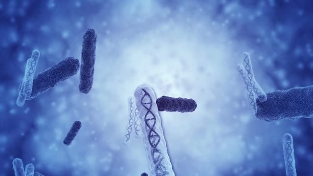รูปภาพTelomere – เลือกดูภาพถ่ายสต็อก เวกเตอร์ และวิดีโอ1,078 | Adobe Stock