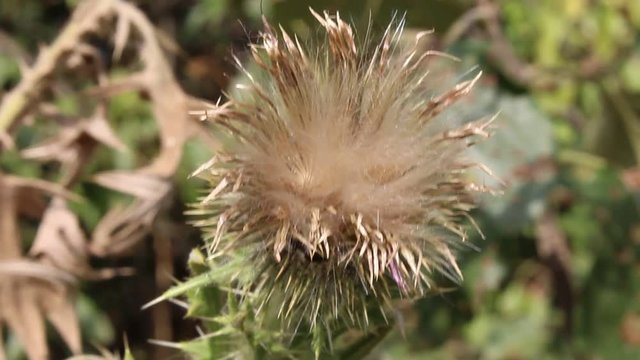 Nekta Images – Browse 48 Stock Photos, Vectors, and Video | Adobe Stock