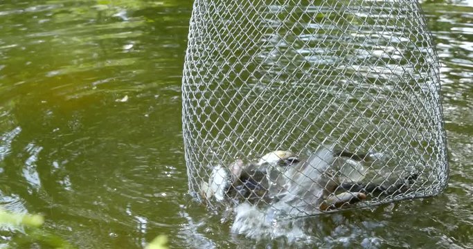 Fishing-Crib Images – Browse 38 Stock Photos, Vectors, and Video ...