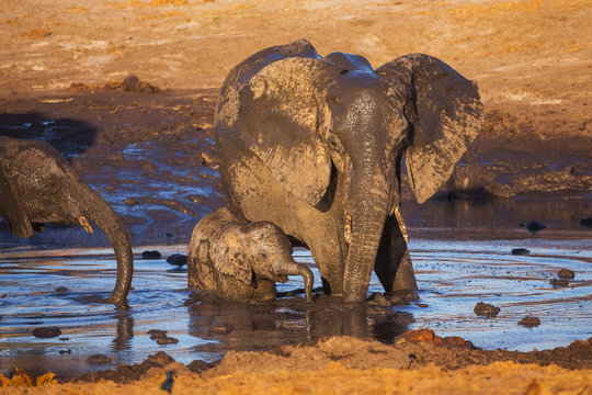 Tschadsee Bilder – Durchsuchen 1,827 Archivfotos, Vektorgrafiken und ...