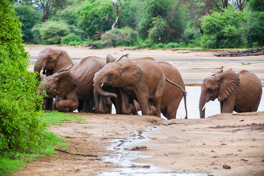 Tschadsee Bilder – Durchsuchen 2,090 Archivfotos, Vektorgrafiken und ...