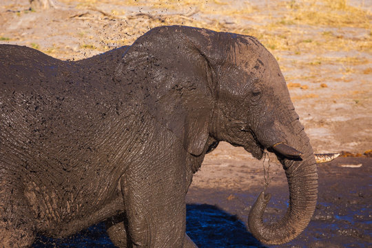 Tschadsee Bilder – Durchsuchen 1,831 Archivfotos, Vektorgrafiken und ...