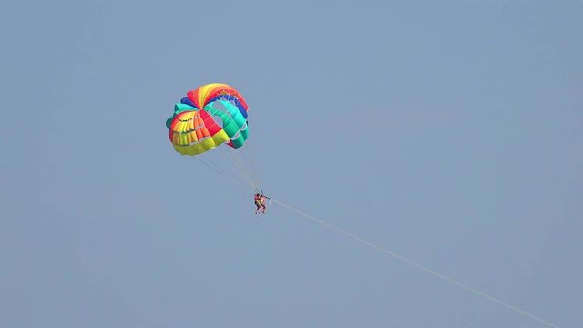 Flider Bilder – Durchsuchen 29 Archivfotos, Vektorgrafiken und Videos ...