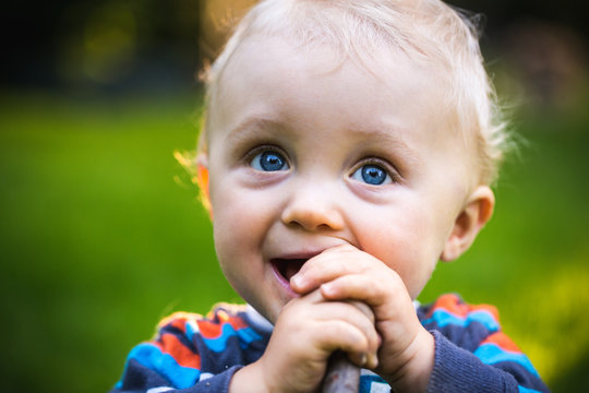 「Gehorchen」の写真素材 | 860件の無料イラスト画像 | Adobe Stock