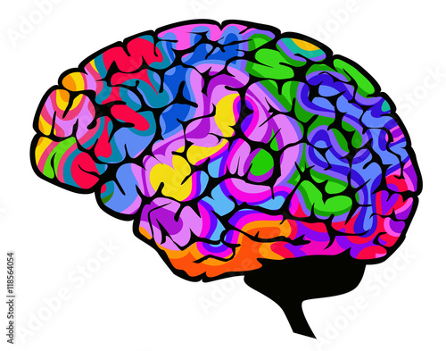 "Colourful Brain" Stock image and royalty-free vector files on Fotolia ...