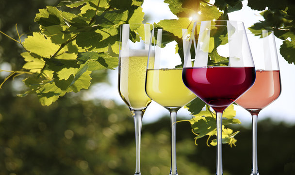 Imágenes de Weine: descubre bancos de fotos, ilustraciones, vectores y ...