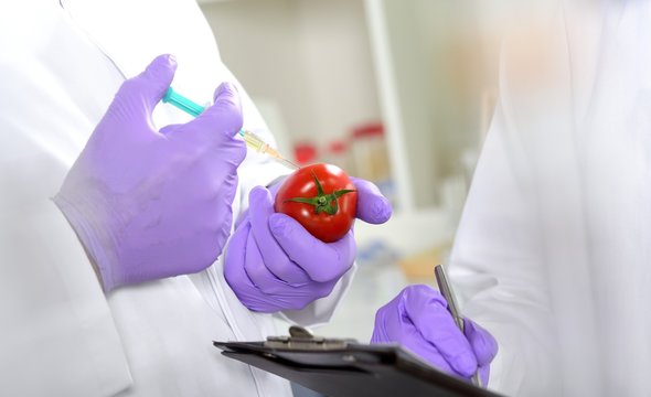 「Genfood」の画像 - 664 件の Stock 写真、ベクターおよびビデオ | Adobe Stock