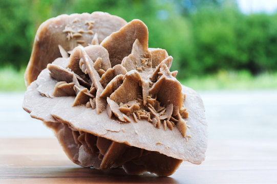 รูปภาพCawk – เลือกดูภาพถ่ายสต็อก เวกเตอร์ และวิดีโอ1,597 | Adobe Stock