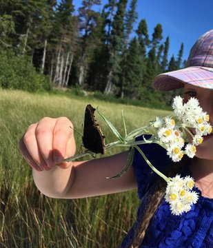 รูปภาพVoleter – เลือกดูภาพถ่ายสต็อก เวกเตอร์ และวิดีโอ165 | Adobe Stock