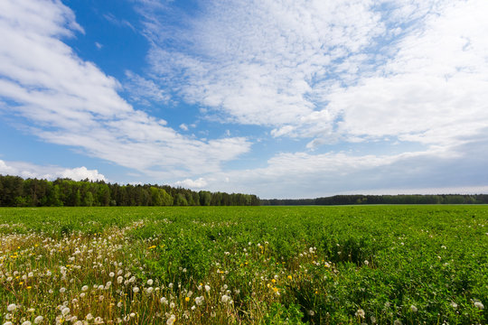 Farm-Field Images – Browse 53 Stock Photos, Vectors, and Video | Adobe ...