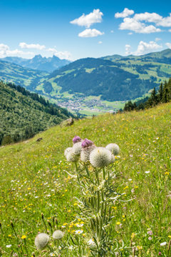 Imagens de Diemtigtal – Explore Fotografias do Stock, Vetores e Vídeos de 551 | Adobe Stock