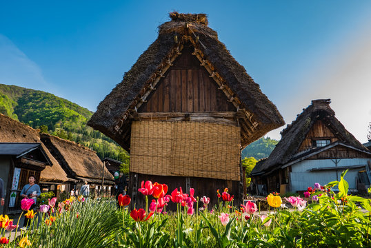 รูปภาพZukuri – เลือกดูภาพถ่ายสต็อก เวกเตอร์ และวิดีโอ1,508 | Adobe Stock