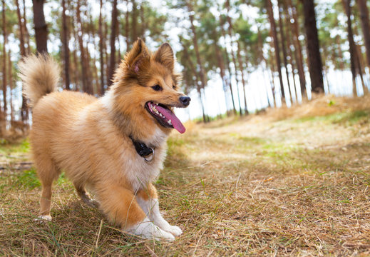 「Freut」の写真素材 | 2,777件の無料イラスト画像 | Adobe Stock