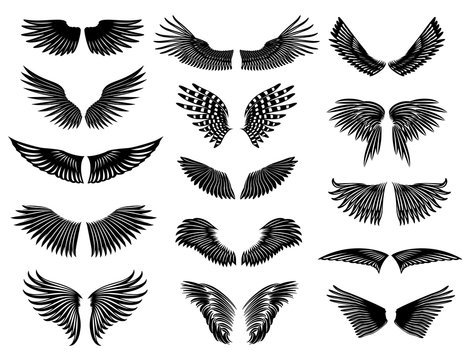 Phoenix Vector Wings