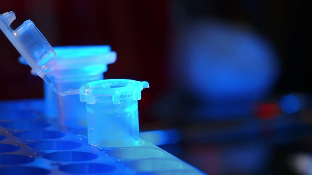 Imagens de Specimen – Explore Fotografias do Stock, Vetores e Vídeos de ...